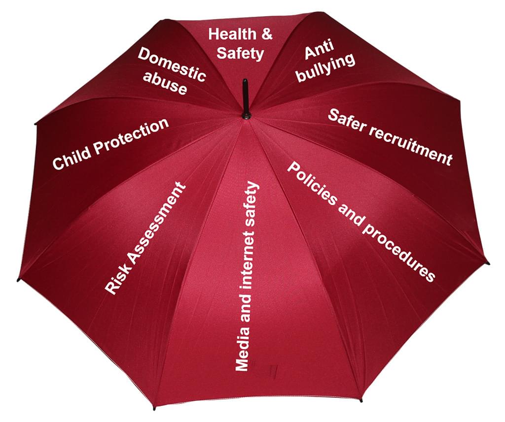 Safeguarding is an umbrella term that covers the areas illustrated here ...